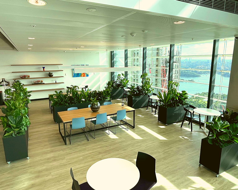 Greening the Scene: Mastering Plant Placement for Dynamic Spaces ...