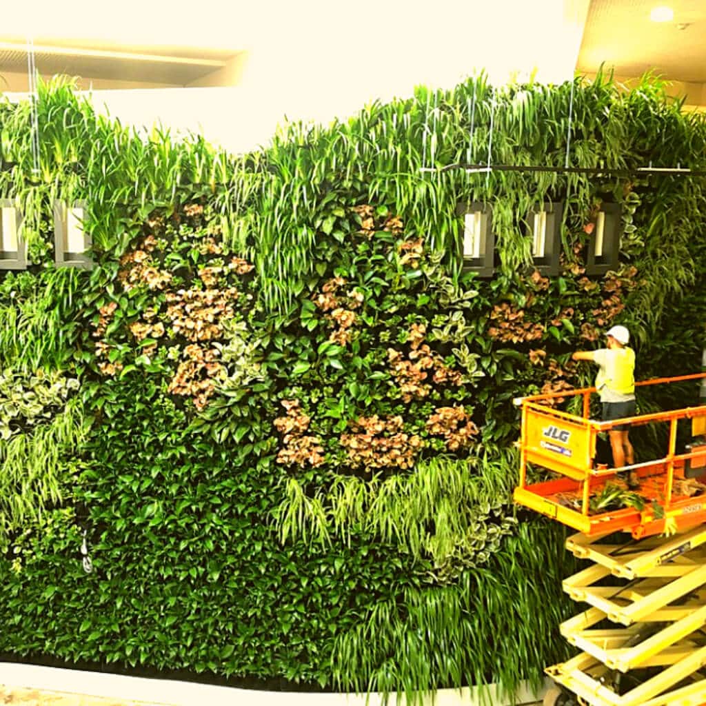 Projects - Interior Plant Designs